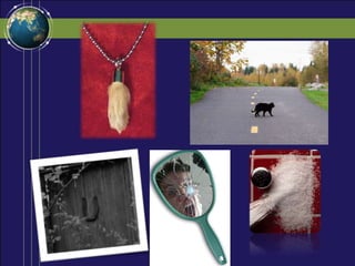 Tawheed | Aqeedah | PPTX