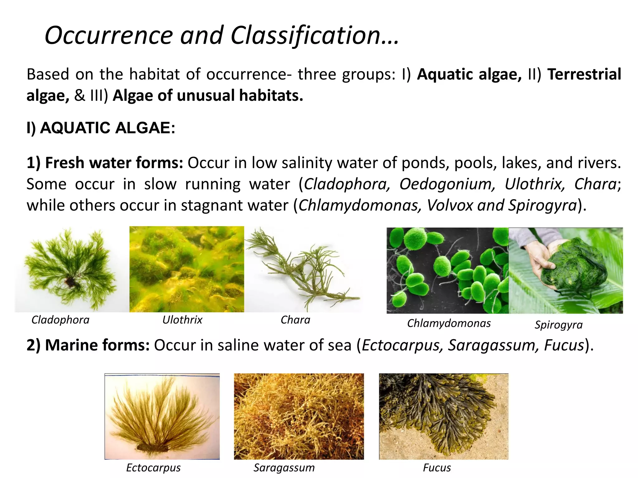 Tawqir Bashir (Lecture 11)_MB.pdf