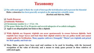 Apple Breeding Approaches | PPTX