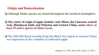 Apple Breeding Approaches | PPTX