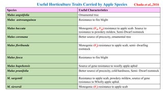 Apple Breeding Approaches | PPTX