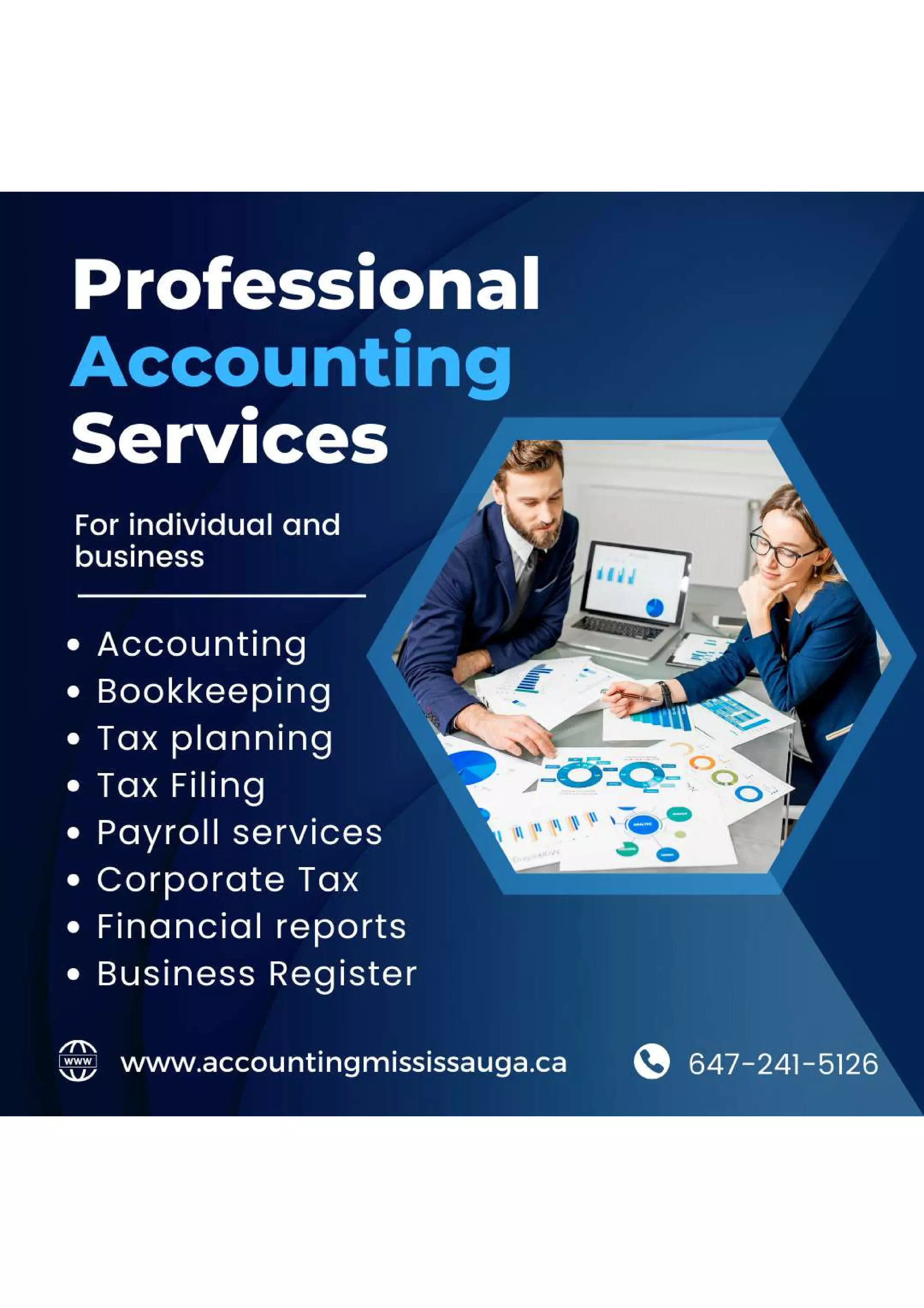 Professional Accounting Services | PDF