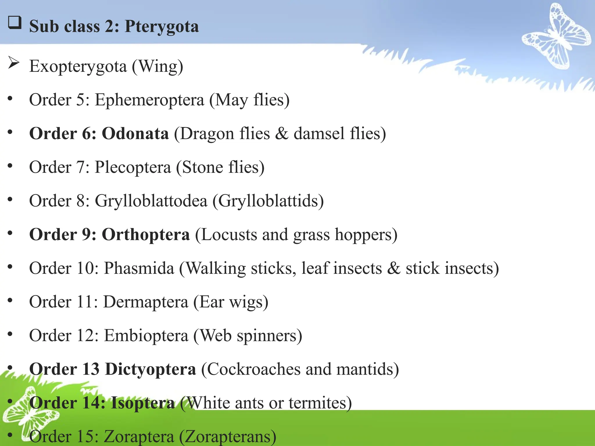 Taxonomy and Systematics: Classification and Diversity of Insects.pptx