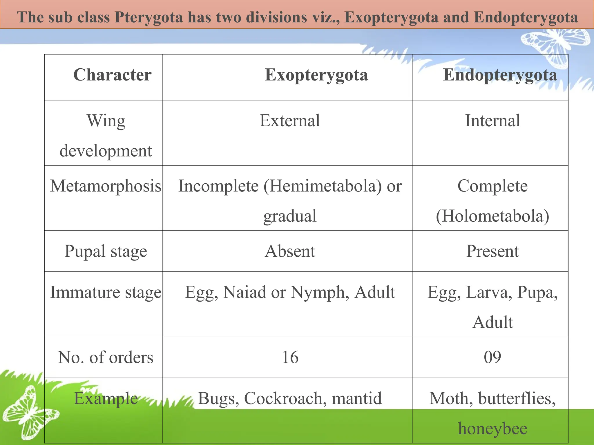 Taxonomy and Systematics: Classification and Diversity of Insects.pptx