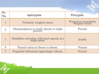 Taxonomy and Systematics: Classification and Diversity of Insects.pptx