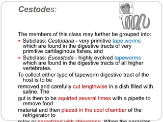 Taxonomic Collections: Parasites and Chordates | PPTX | Zoos ...