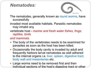 Taxonomic Collections: Parasites and Chordates | PPT