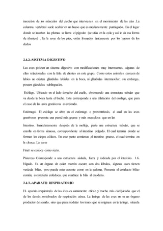 Taxidermia procesos | DOCX