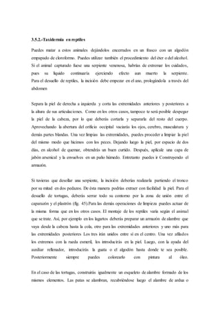 Taxidermia procesos | DOCX