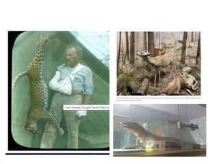 Taxidermy methods and its preparation.pptx