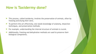 TAXIDERMY slides on subject Biological Techspptx | PPTX