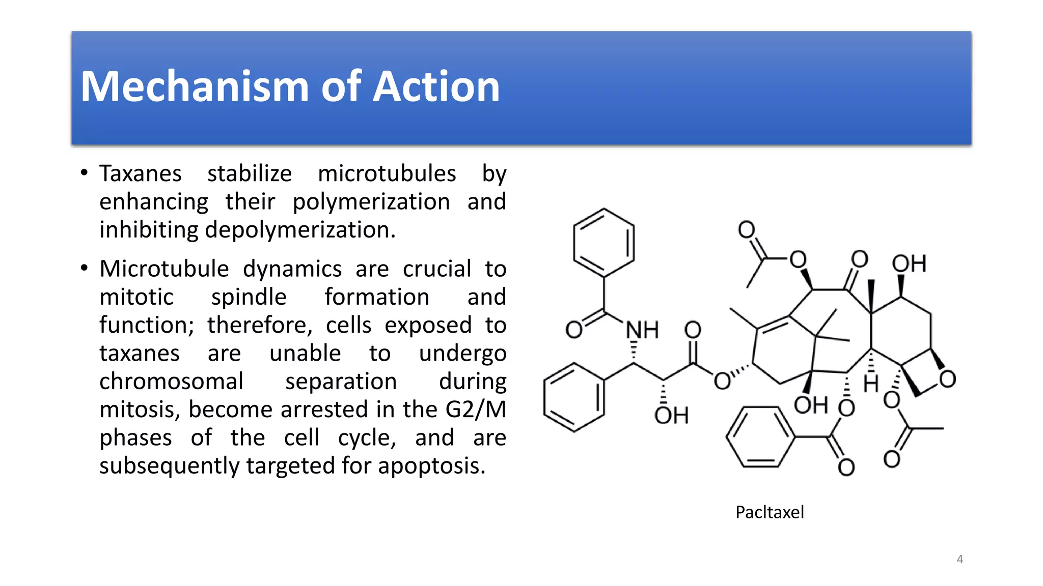 Taxol and Derivatives In Therapy | PPTX