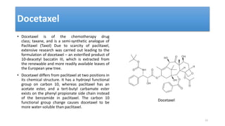 Taxol and Derivatives In Therapy | PPTX