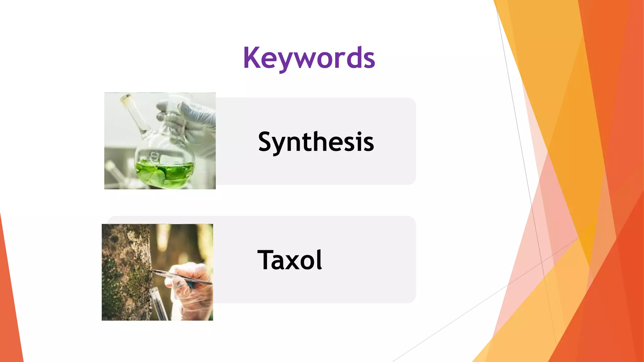 Searching for Taxol | PPT