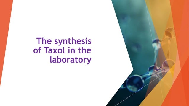Searching for Taxol | PPT