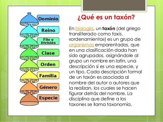 Clasificacin De Los Organismos Taxonomia Clasificacin Taxonmica