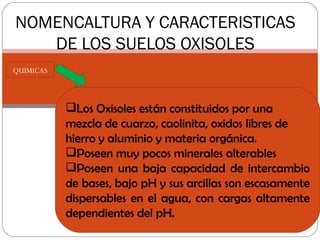 Taxonnomia oxisol | PPT