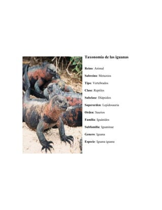 Taxonomía de animales | DOCX