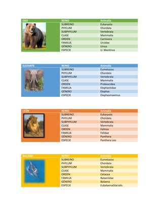 Taxonomía de varias especies | DOCX