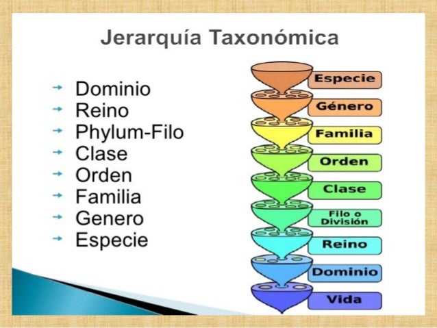 Dominios y los reinos naturales