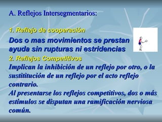 Taxonomía Motora de Anita Harrow Educación Física y deporte | PPT