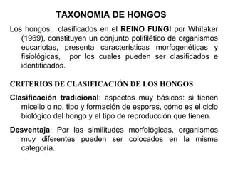 Taxonomia De Hongos Ppt