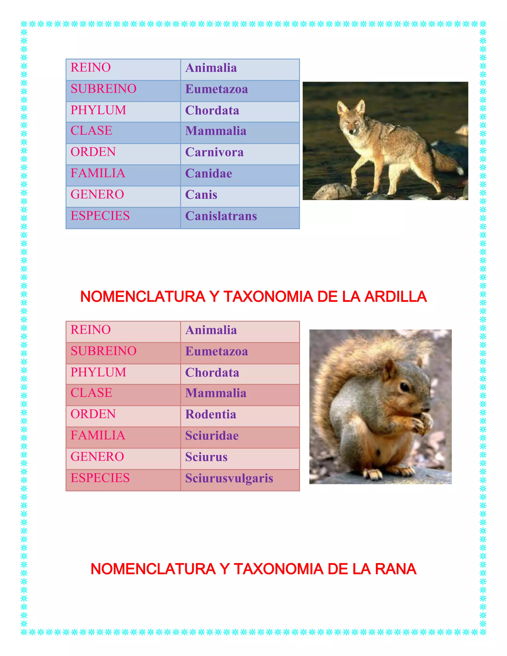 Taxonomia de animales y vegetales | DOCX | Biological Sciences | Science