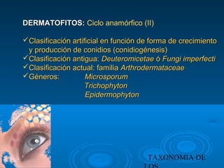 Taxonomia dermatofitos | PPT