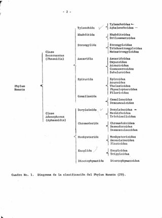 Taxonomia de Nematodos | PDF