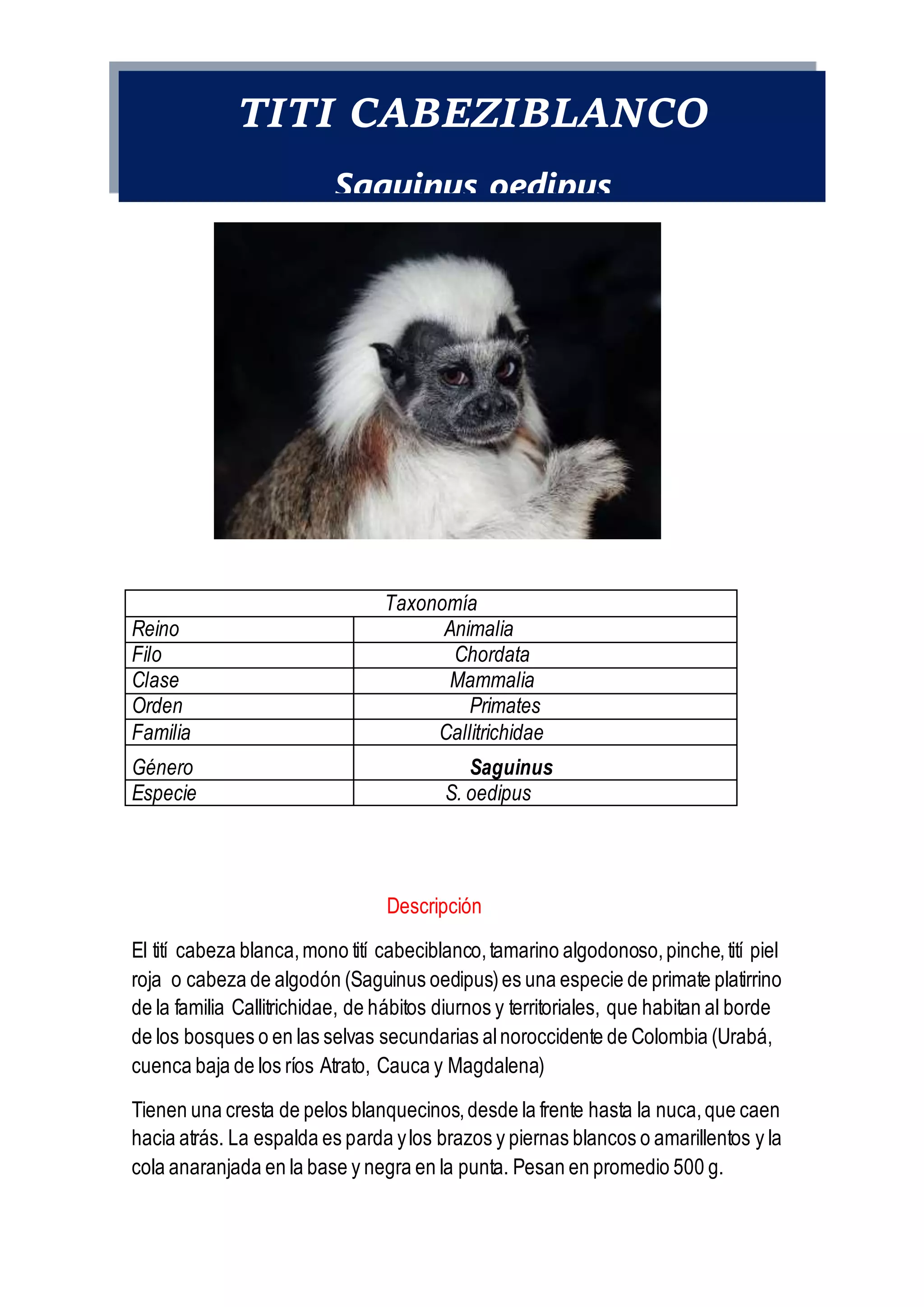 Taxonomia parte 3 | DOCX