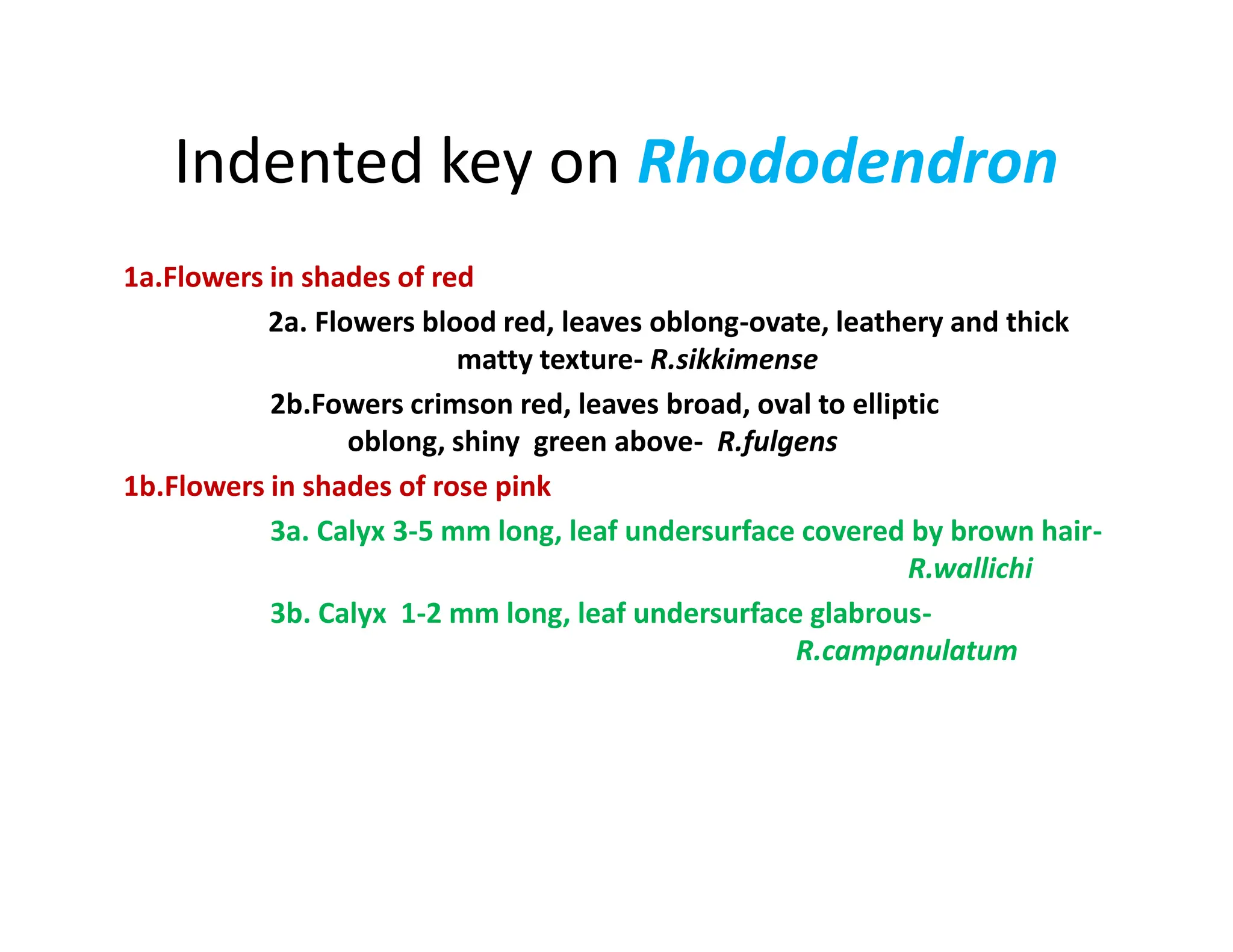 TAXONOMIC-KEYS-ppt ppt ppt ppt ppt ppt.pdf