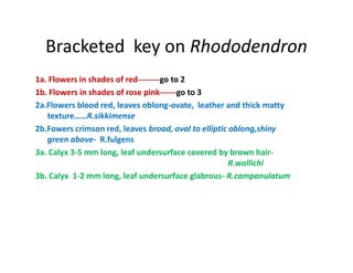 TAXONOMIC-KEYS-ppt ppt ppt ppt ppt ppt.pdf