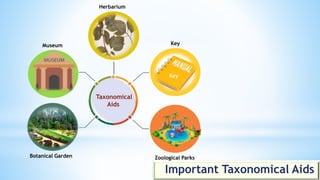 Taxonomical Aids | PPTX