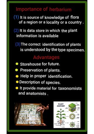 TAXONOMICAL AIDS for Plants and Animals .pdf