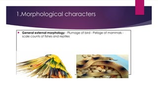 taxonomic characters of species and taxa | PPTX