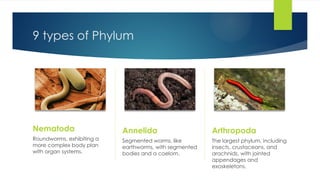 TAXONOMIC CLASSIFICATION IS VERY IMPORTANT.pptx