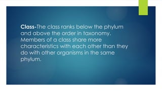 TAXONOMIC CLASSIFICATION IS VERY IMPORTANT.pptx