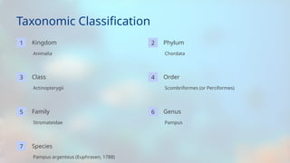 Taxonomic Classification of crustacean and shrimp | PPTX