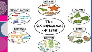 TAXONOMIC CLASSIFICATION [Autosaved].pptx