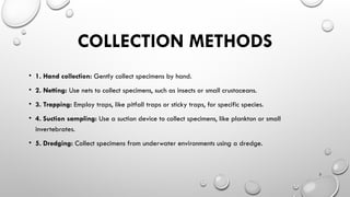 taxonomic collection..........................pptx