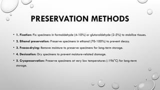 taxonomic collection..........................pptx