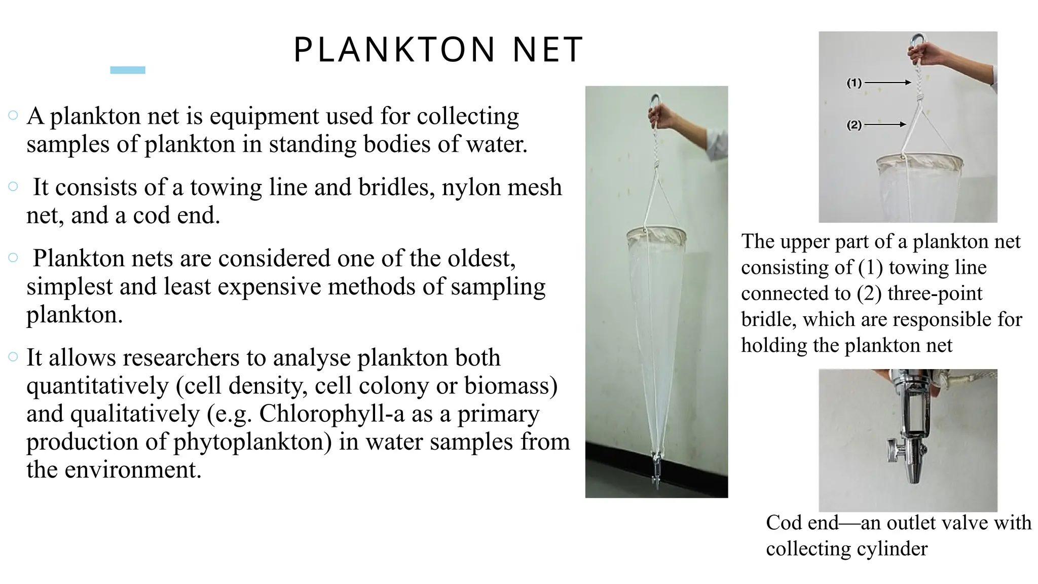 Taxonomic collection methods,preservation methods ,types of collection ...