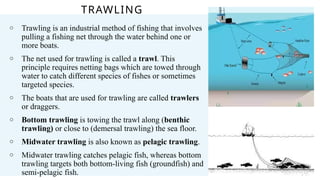 Taxonomic collection methods,preservation methods ,types of collection ...
