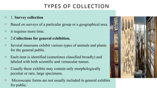 Taxonomic collection methods,preservation methods ,types of collection ...