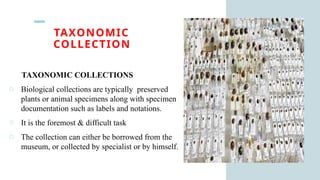 Taxonomic collection methods,preservation methods ,types of collection ...
