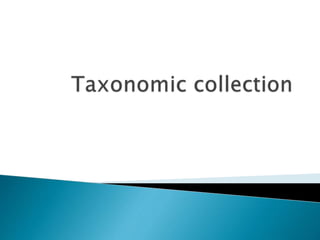 Taxonomic collection and identification | PPTX
