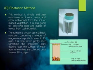 Taxonomic Collections, Preservation and Curating of Insects | PPTX