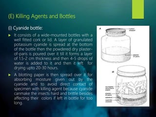 Taxonomic Collections, Preservation and Curating of Insects | PPTX