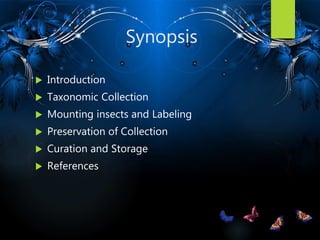 Taxonomic Collections, Preservation and Curating of Insects | PPTX