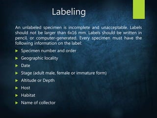 Taxonomic Collections, Preservation and Curating of Insects | PPTX